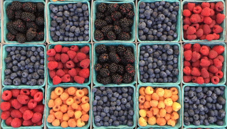 Classifying Fruits With A Convolutional Neural Network In Keras
